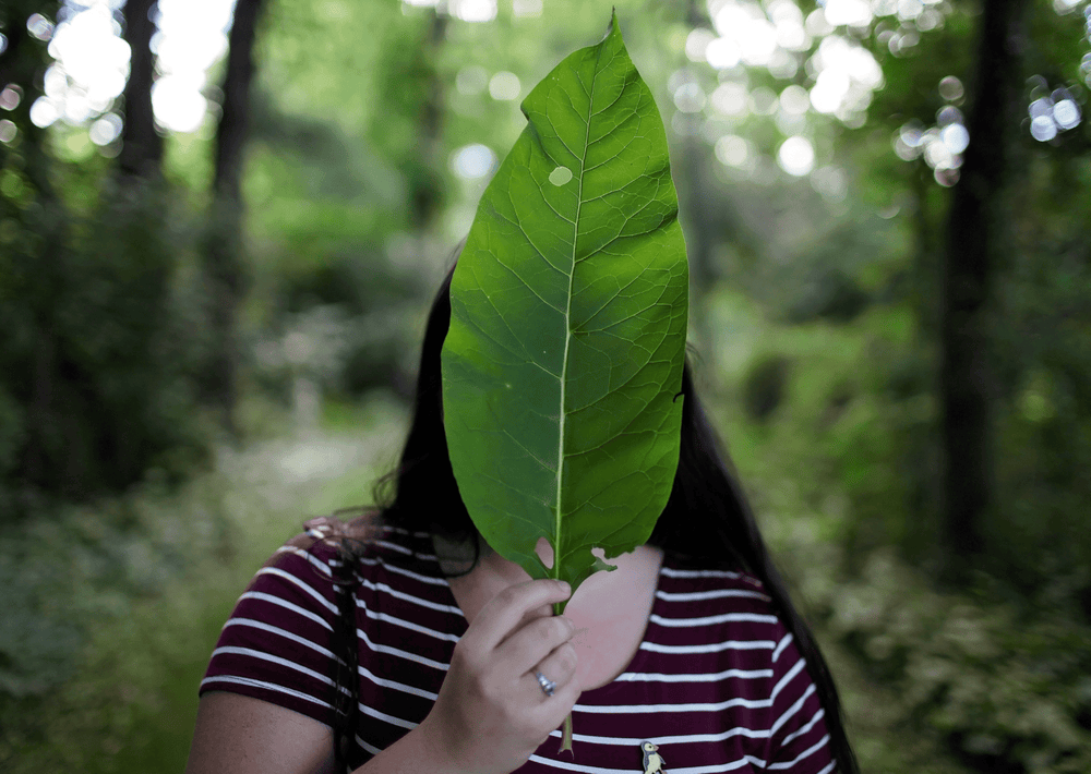 The Benefits of Reusable Masks