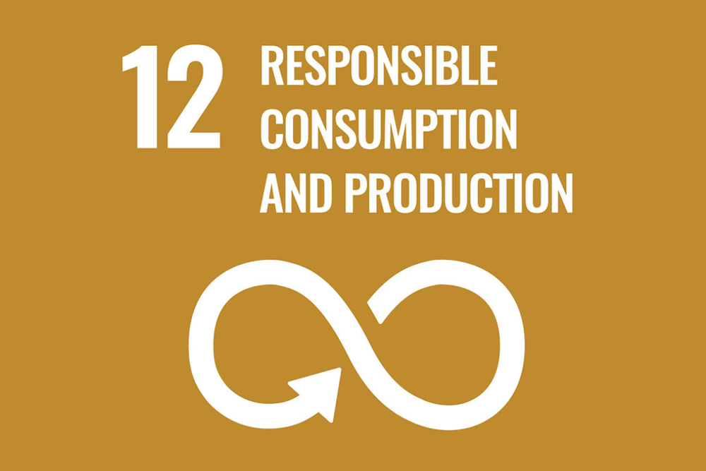 Sustainable Development Goal 12: Responsible Consumption and Productio
